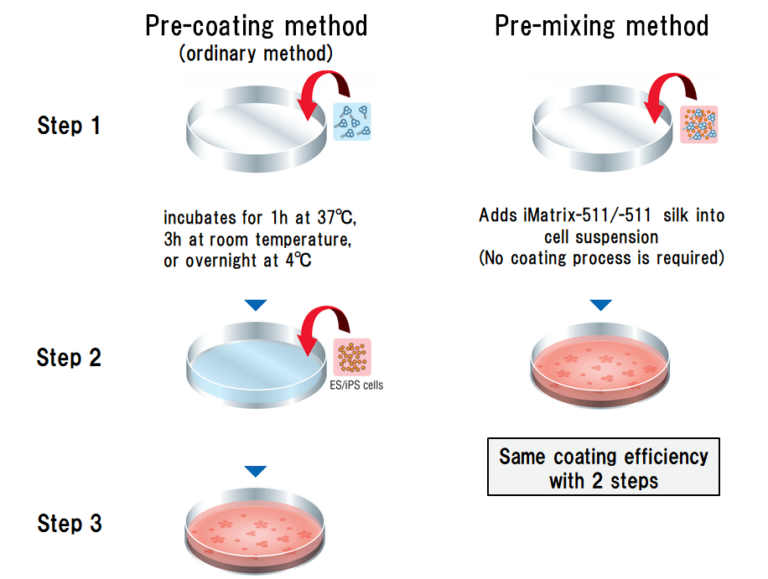 iMatrix-511 & Silk Cell Matrices - Iwai North America Inc.