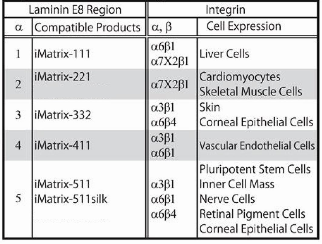 What is Laminin? - Iwai North America Inc.